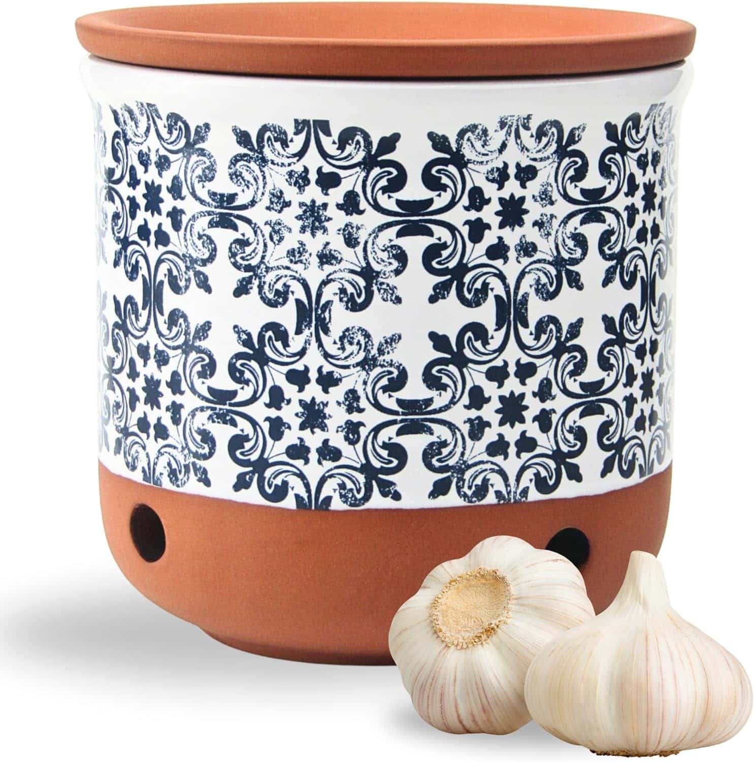 11 Best Garlic Keepers to Help Your Garlic Last - Clean Green Simple