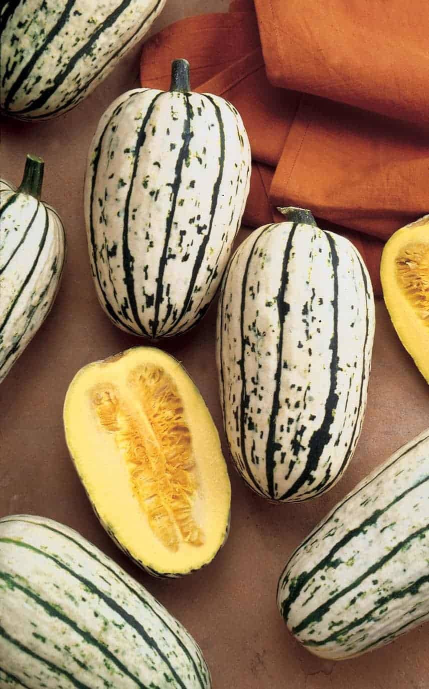 35 Summer and Winter Squash Varieties - Clean Green Simple