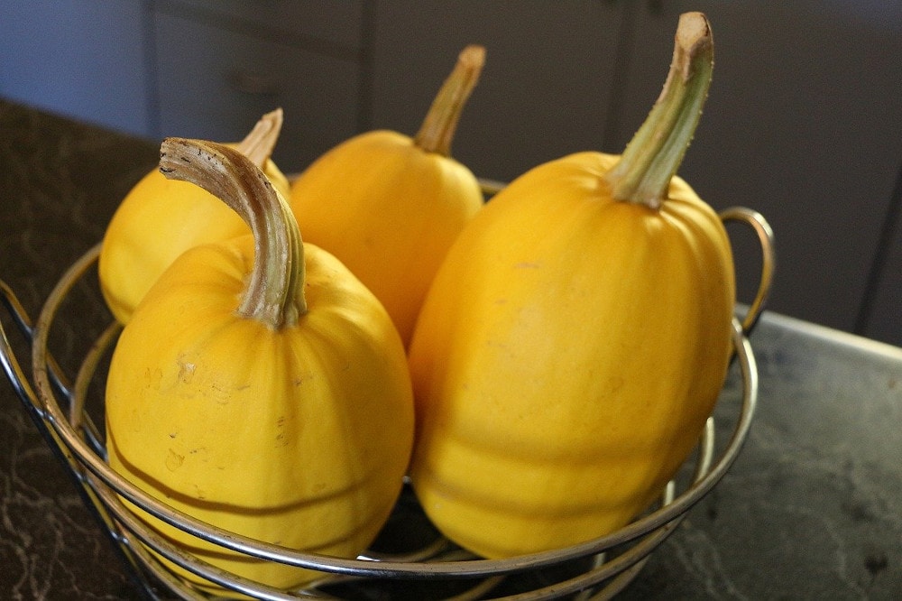 35 Different Types of Squash (with Pictures) - Clean Green Simple